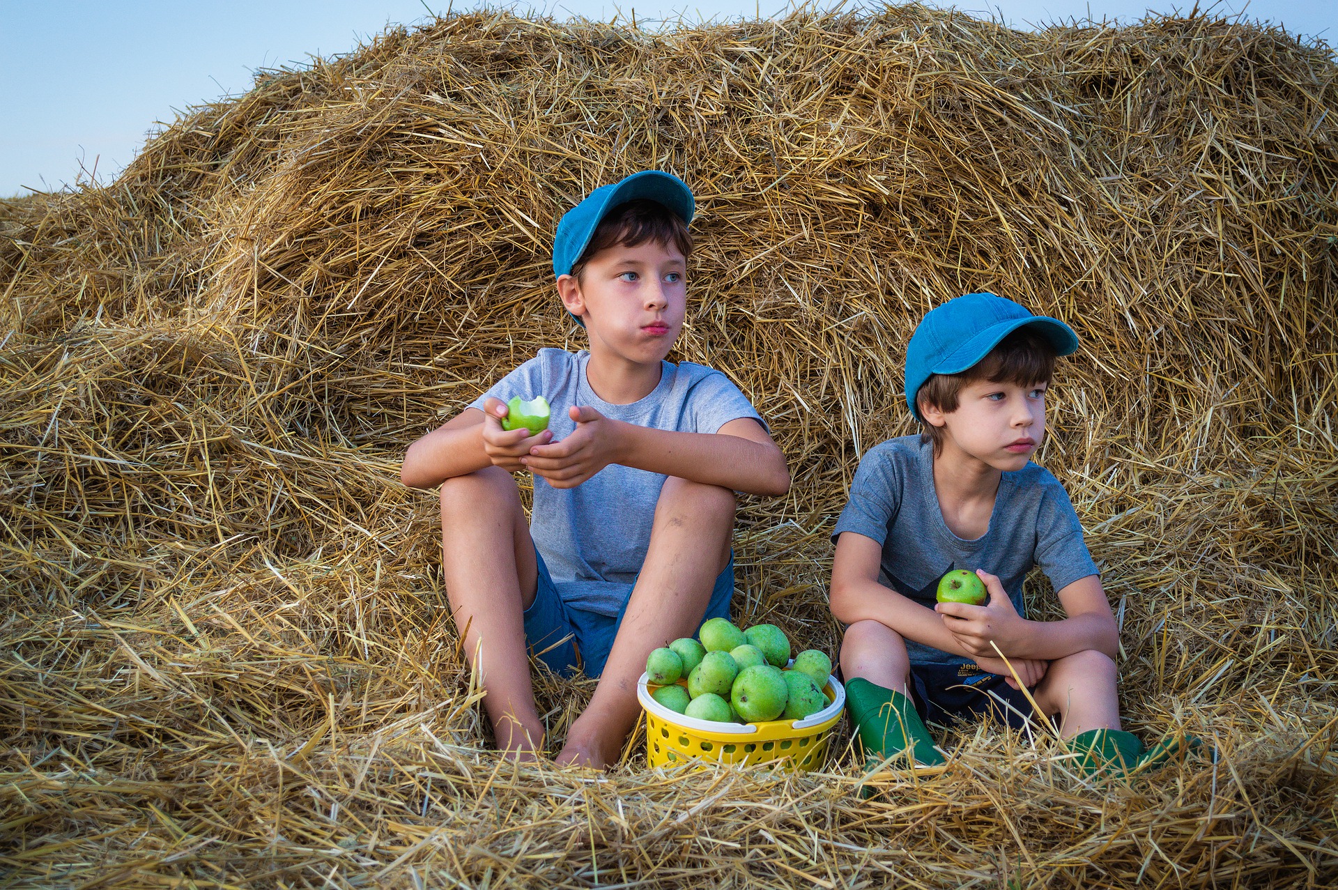 Food Selectivity - SASI statewide autistic services